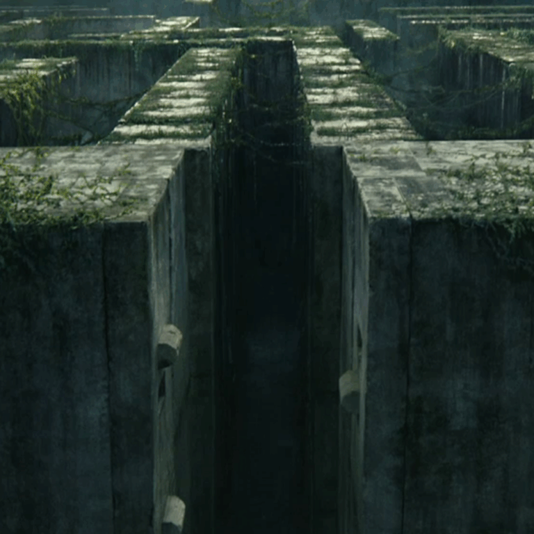 The Maze Runner on Netflix: a deadly maze and a fight for freedom