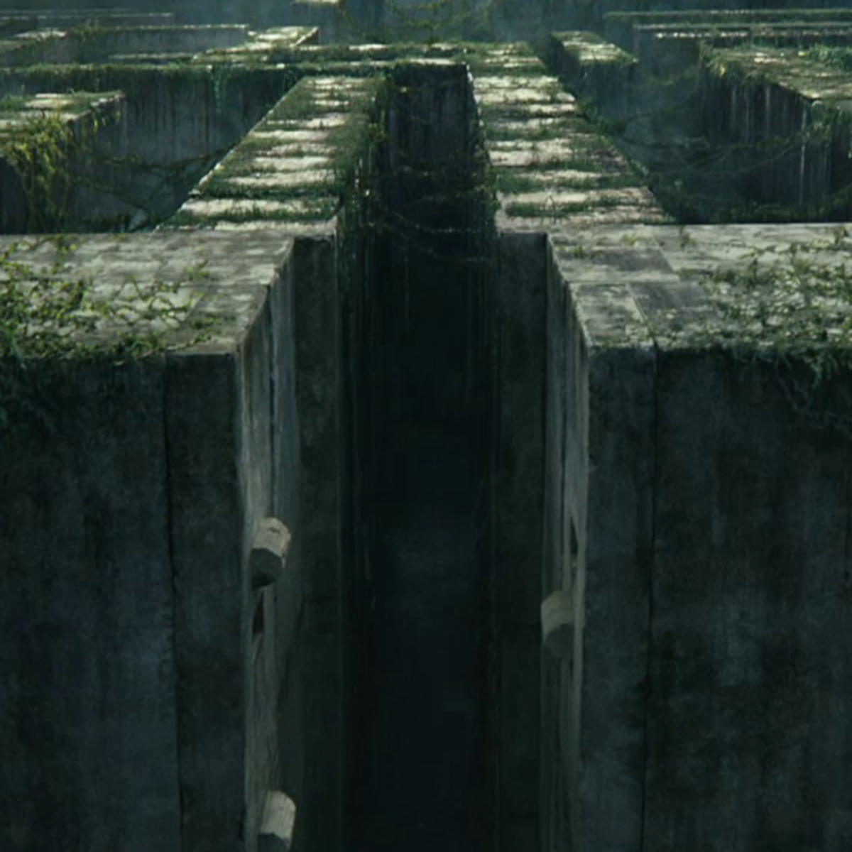 The Maze Runner on Netflix: a deadly maze and a fight for freedom