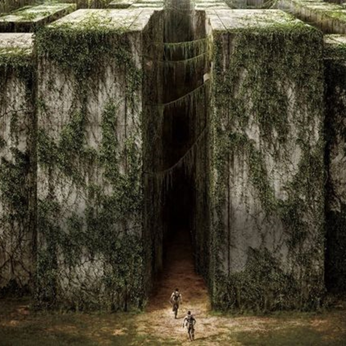 The Maze Runner on Netflix: a deadly maze and a fight for freedom