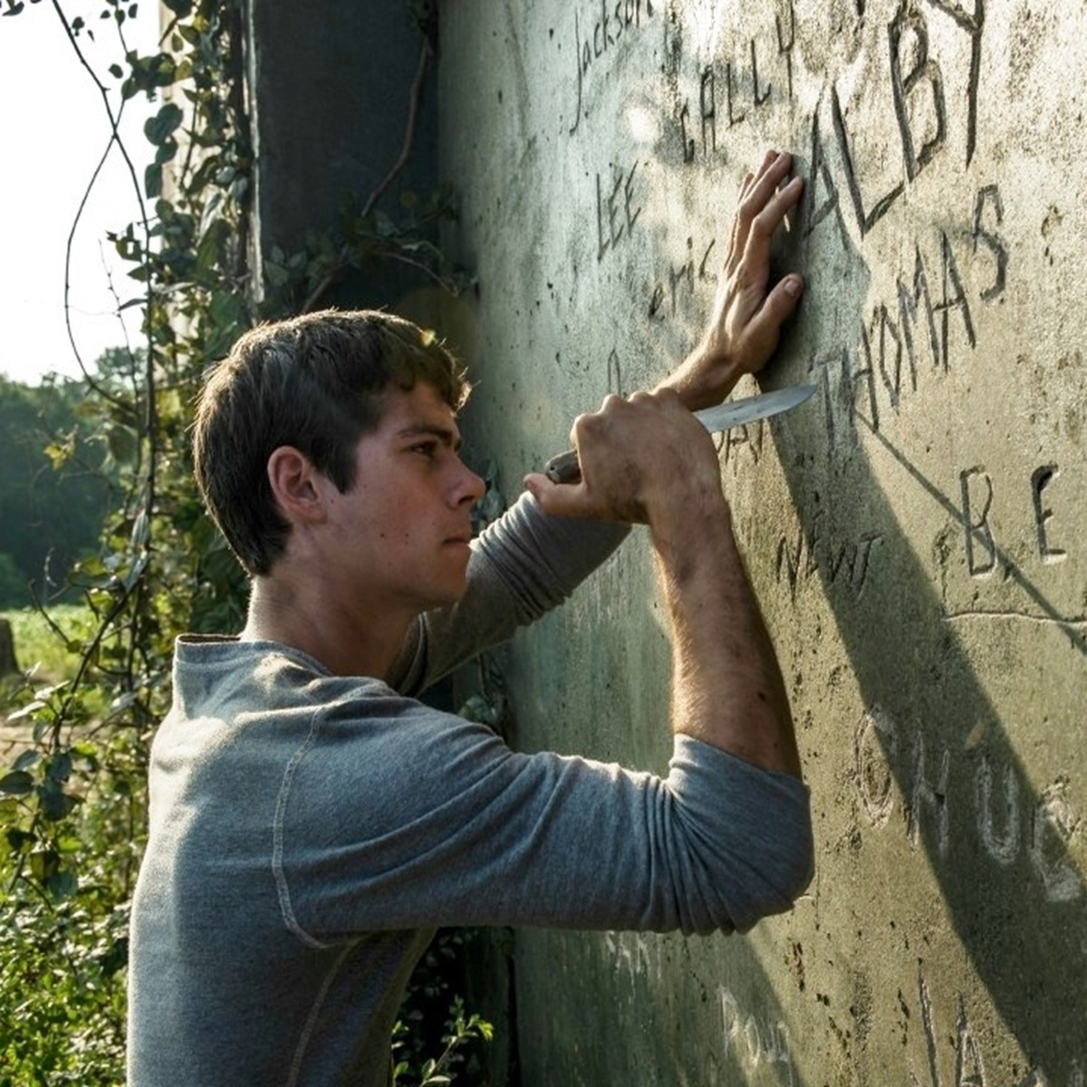 The Maze Runner on Netflix: a deadly maze and a fight for freedom
